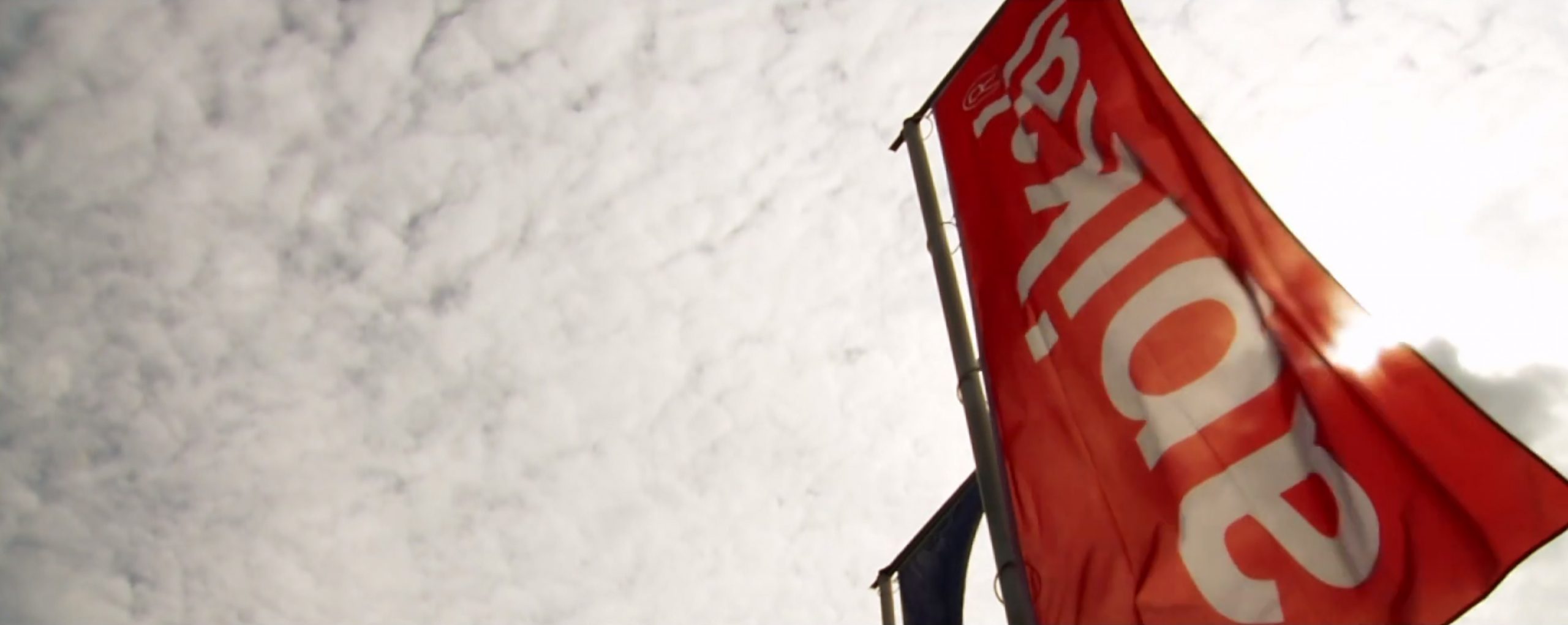 Das Unternehmen - apikal